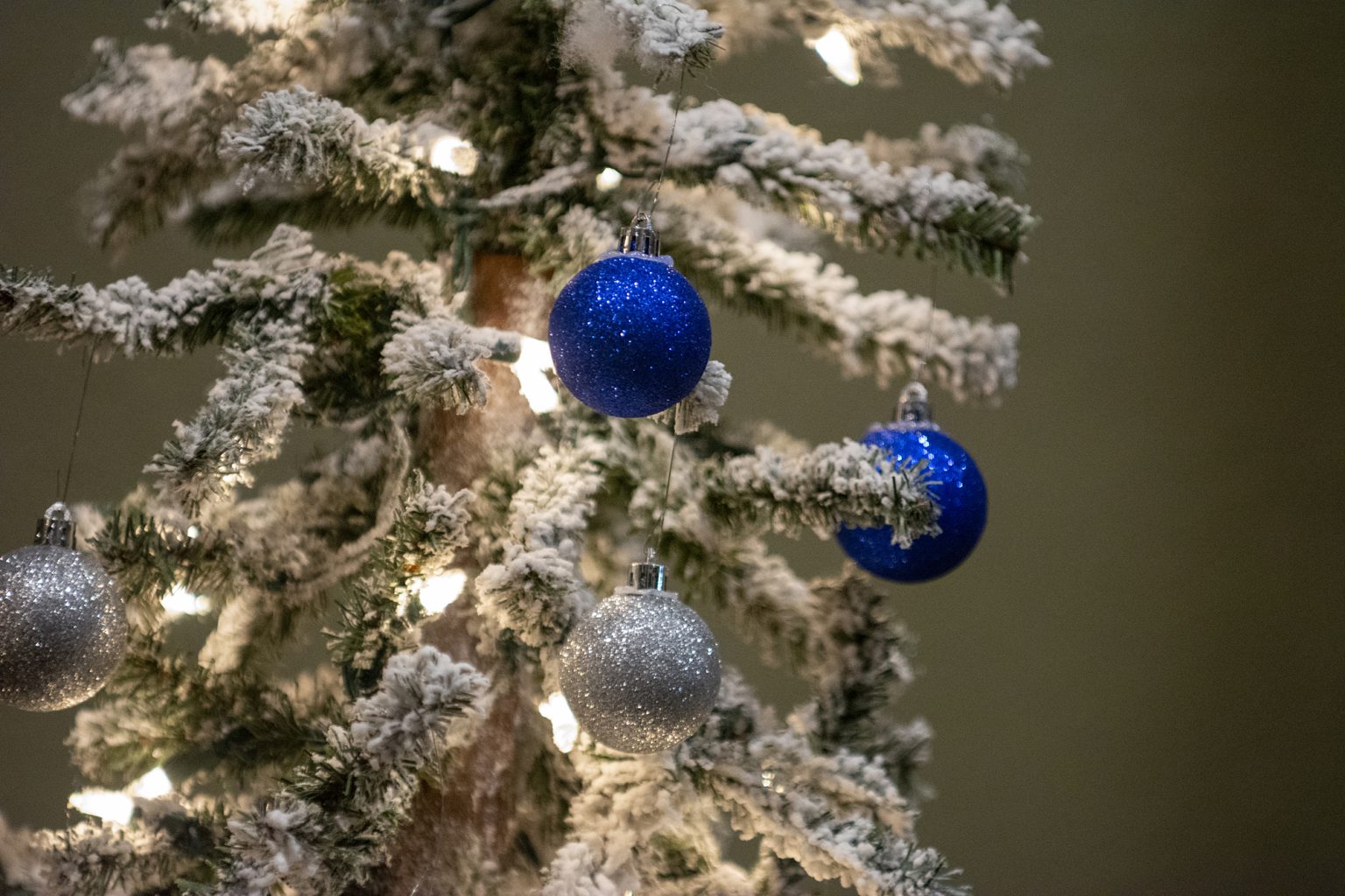 Moms for Liberty Hosts Christmas Gathering With Local Officials ...