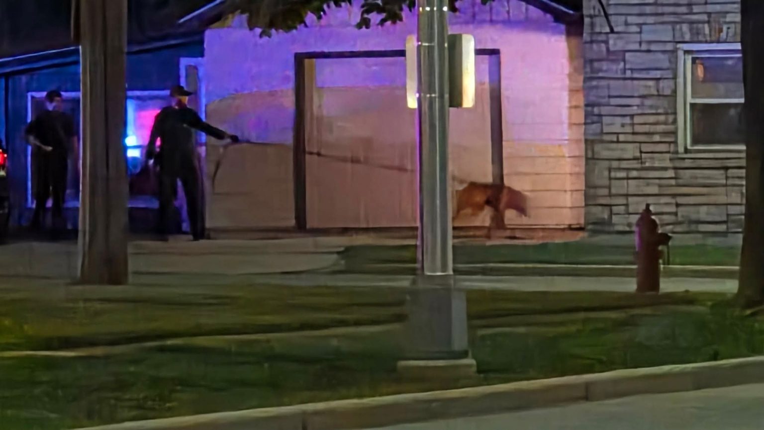 Police, K-9s, and Drone Deployed During Overnight Hunt for Allegedly ...